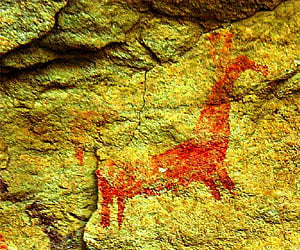 Rock paintings show species that roamed India