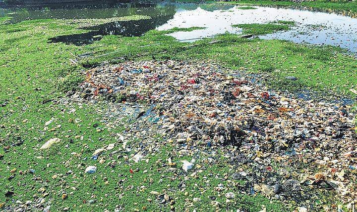 Whitefield lake premises overflow with plastic, coconut shells and more