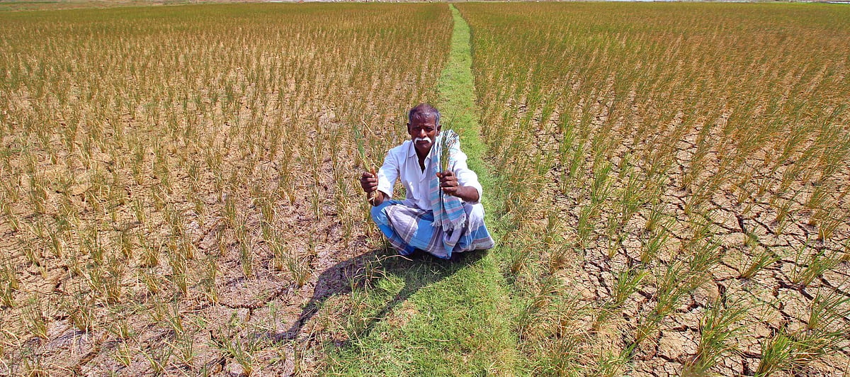 Maharashtra announces farm loan waiver with multiple conditions