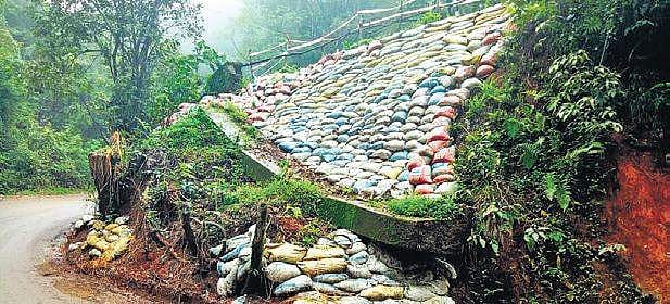 Green barriers will stop sea sand erosion in Karnataka: Experts