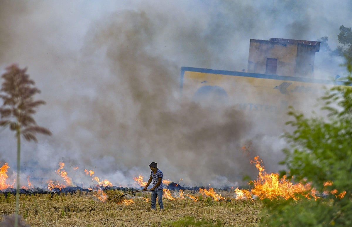 Punjab to give Rs 2,500 relief for not burning paddy straw