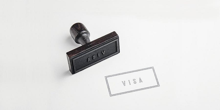 Government suspends all visas, bars travel by OCI card holders