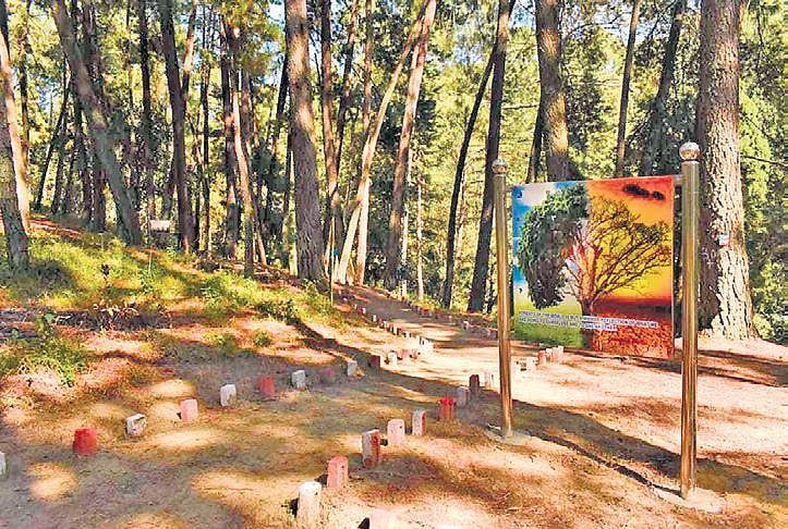Stressed? Come heal in the lap of woods at Devbhoomi