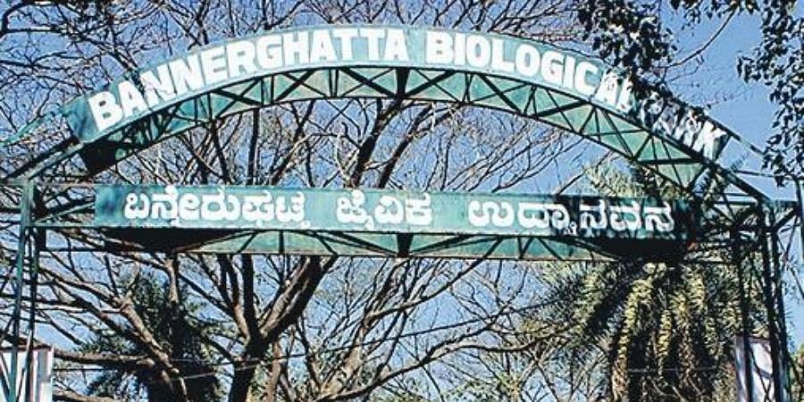 BBP awaits CM Shivakumar's nod for south India’s largest aquarium
