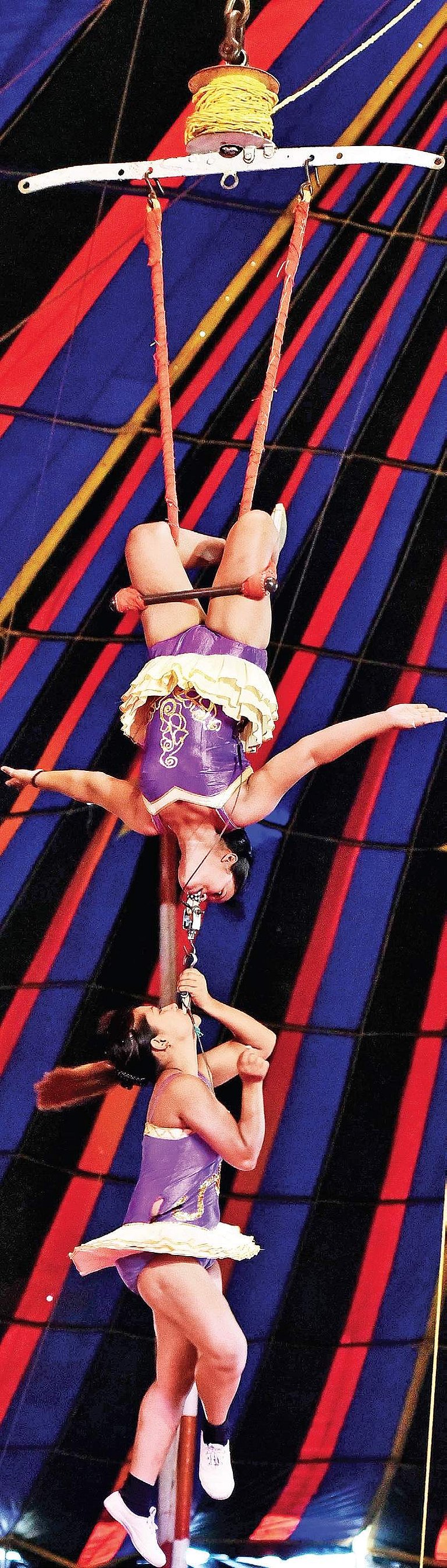 The circus is in town