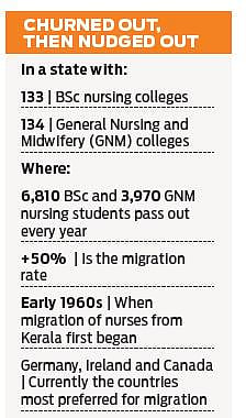 ‘Nightingales’ take to new migratory routes