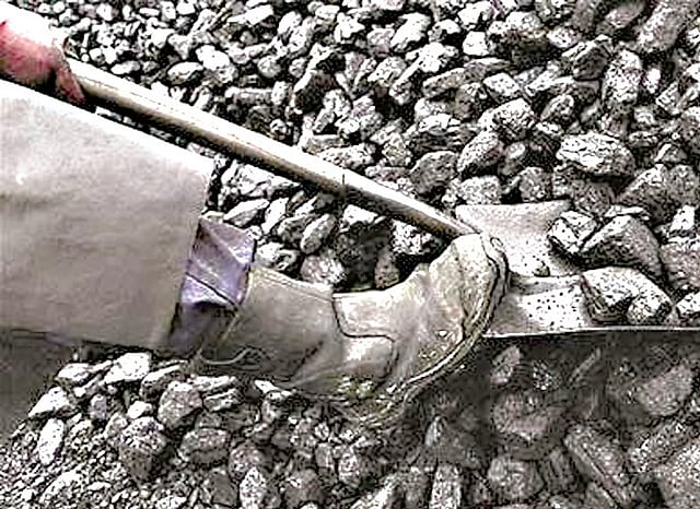 Govt Allots Cancelled Coal Blocks to CIL