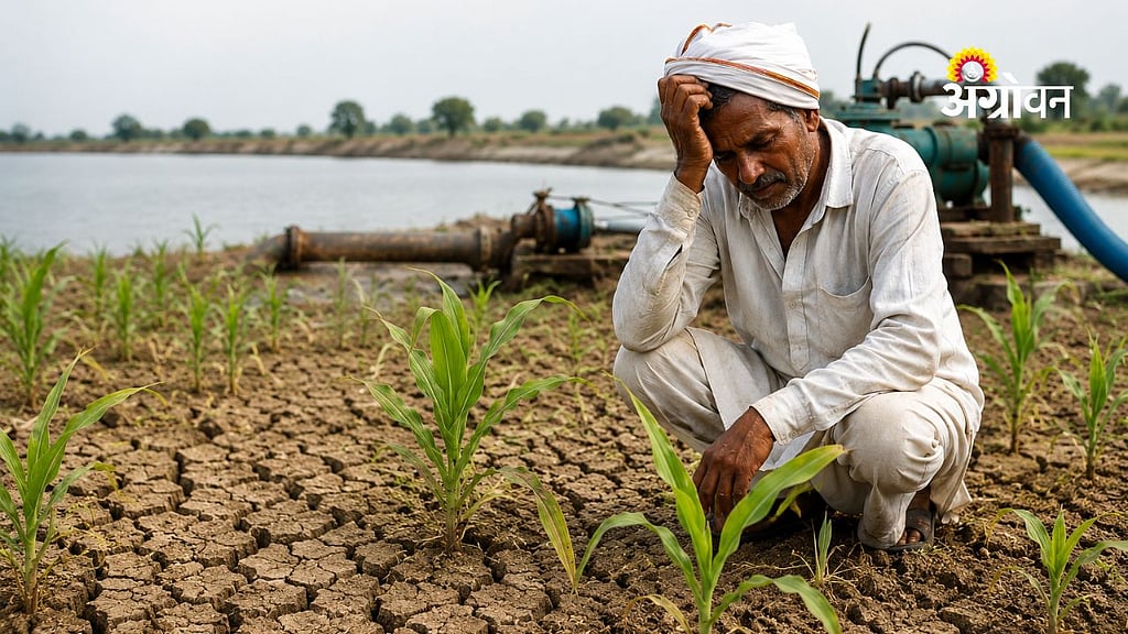 Maharashtra Farmers Struggle | पिके वाचवायची कशी? ‘उपसाबंदी’मुळे ...