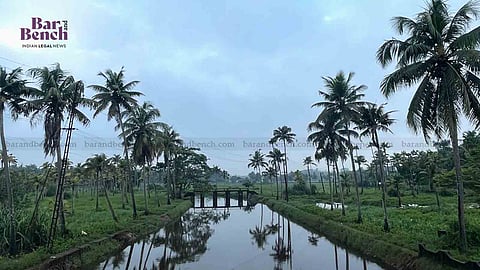 Coconut tree would laugh at them: Kerala High Court on spat between ...