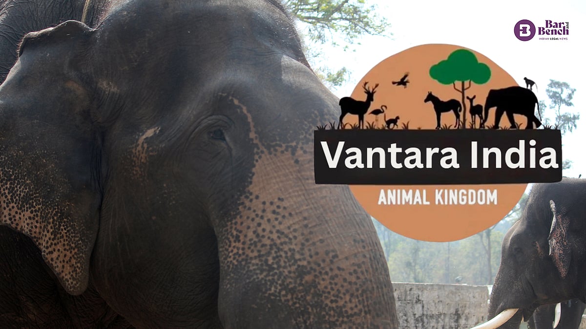Supreme Court declines fresh probe into Vantara animal imports, cites ...
