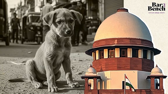 Stray Dogs Verdict: LIVE UPDATES from Supreme Court