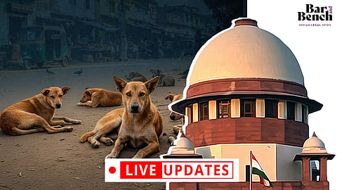 Stray Dogs case: LIVE UPDATES from Supreme Court