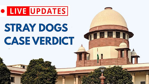 Stray dogs case verdict today: LIVE UPDATES from Supreme Court