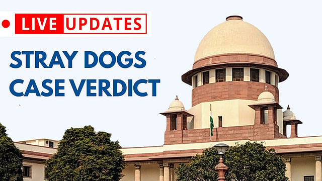 Stray dogs case verdict today: LIVE UPDATES from Supreme Court