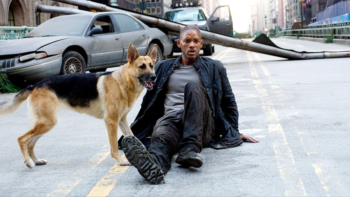 Will Smith's I Am Legend 2 finds its director in Steven Caple Jr