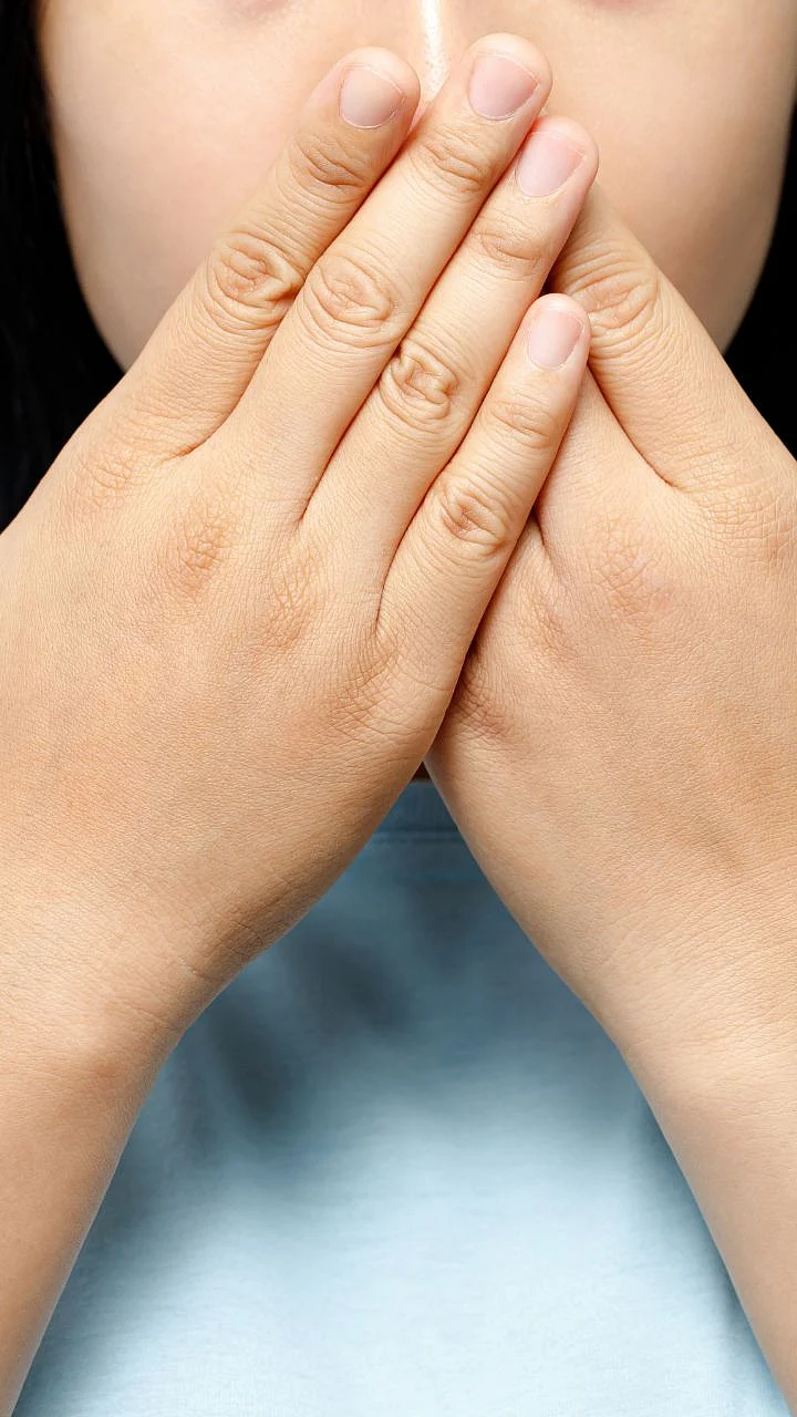 नॅचरल माउथ फ्रेशनर here are natural mouth freshener | Dainik Gomantak