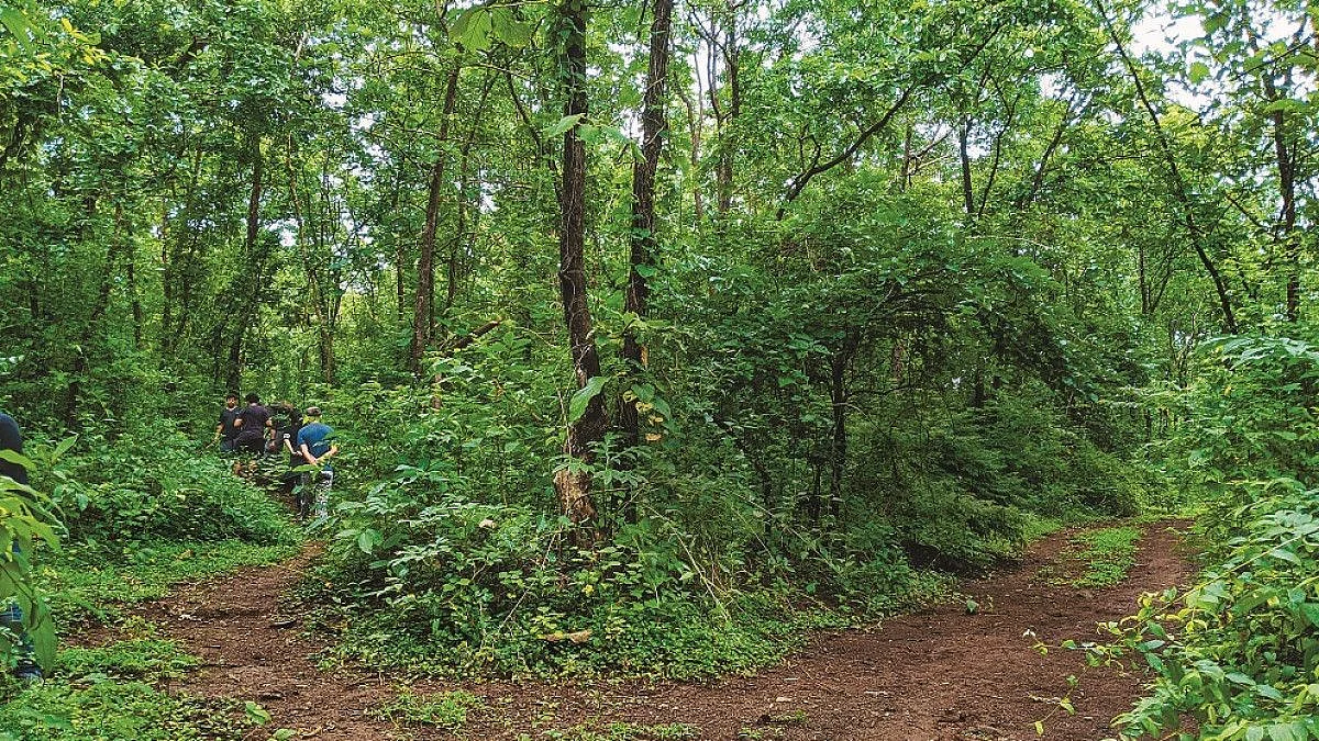 जैव संवेदनशीलतेचा घोळ | Goa Eco Sensitive Zone Goa Government Forest ...