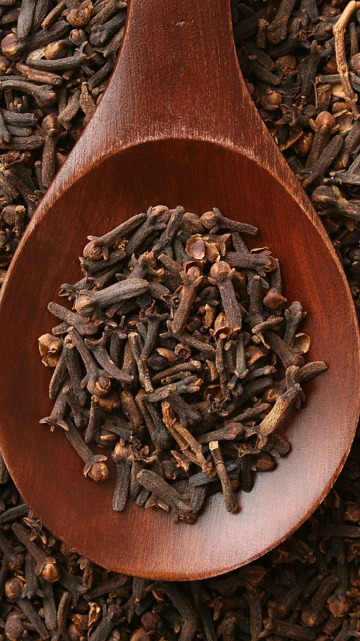Cloves Benefits: लवंगीचे हे मोठे फायदे तुम्हाला माहित आहेत का?| Did you ...