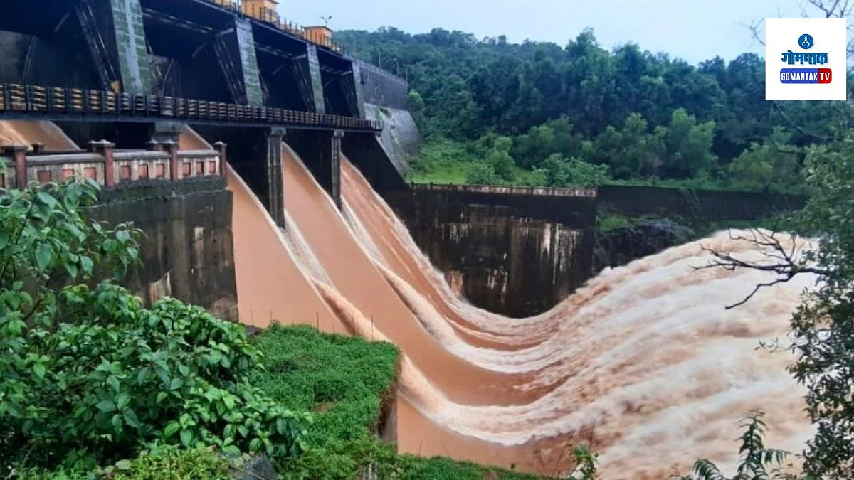 Tilari Dam: गोव्यात तिळारीचे पाणी अखेर पोहचले मात्र, पर्वरी ...