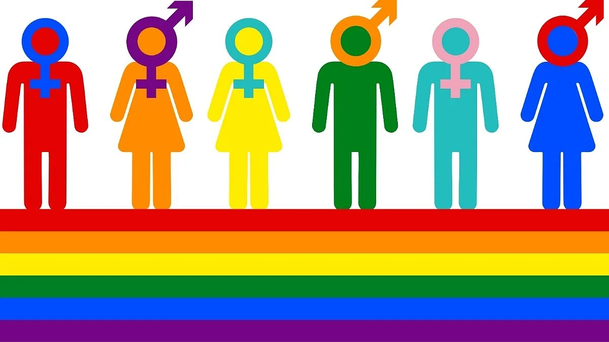 LGBT म्हणजे काय, ते एकमेकांपासून वेगळे कसे असतात?|What is LGBTQ, how ...