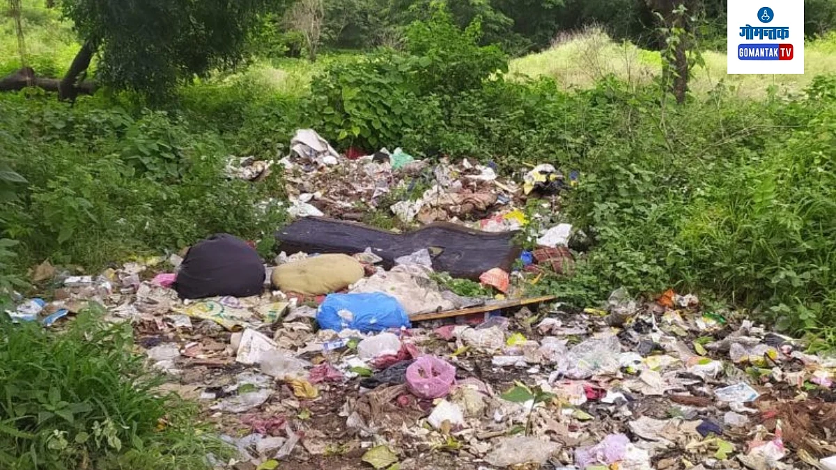 म्हापसा- शिवोली रस्त्यानजीक चिकन मार्टच्या कचऱ्याचे ढीग; परिसरात ...