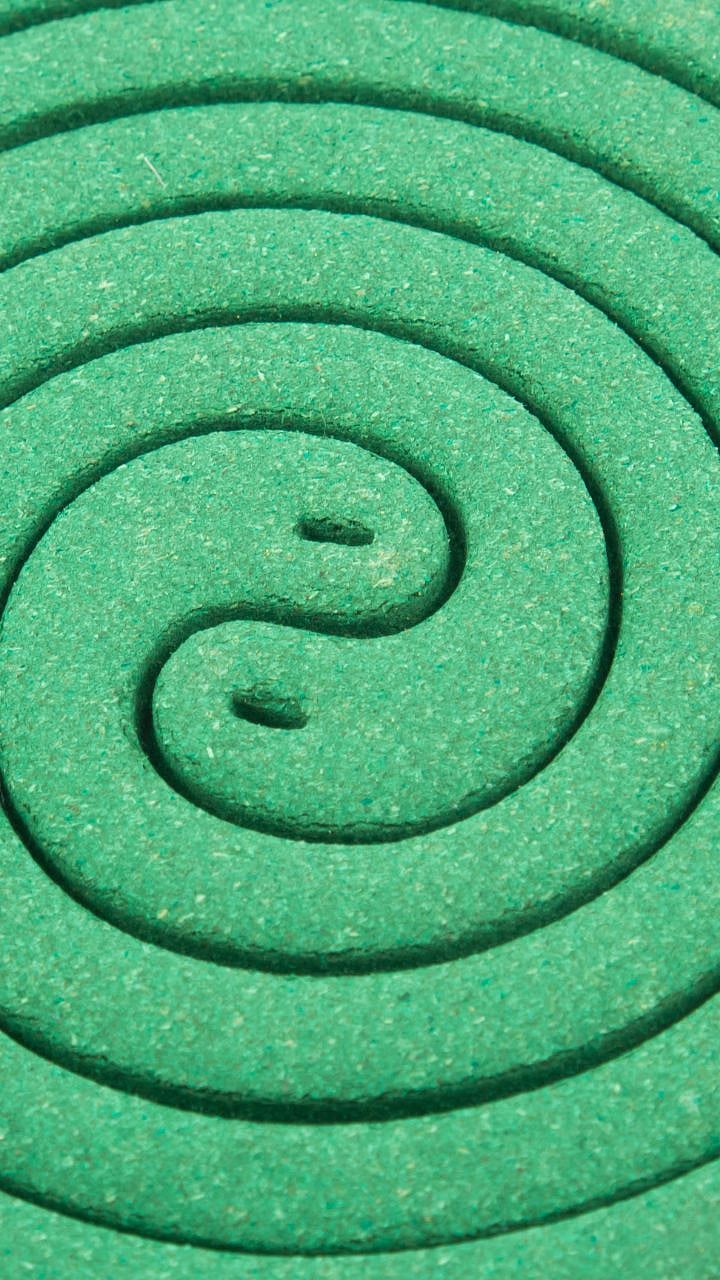 Mosquito Coil Side Effects: मच्छरांसाठी घरात कॉइल लावत असाल तर सावधान ...