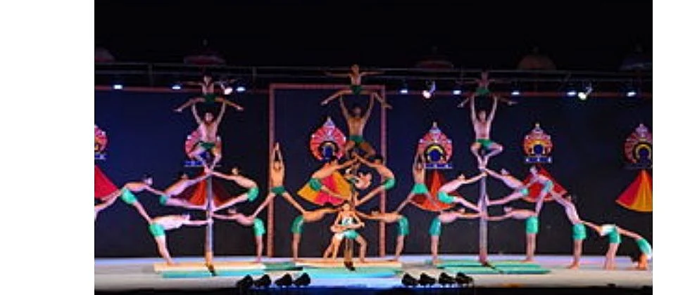 Mallakhamba: भारताच्या पांरपारिक खेळाचा 'जग्गजेत्ता' अमेरिकेत ठरणार ...