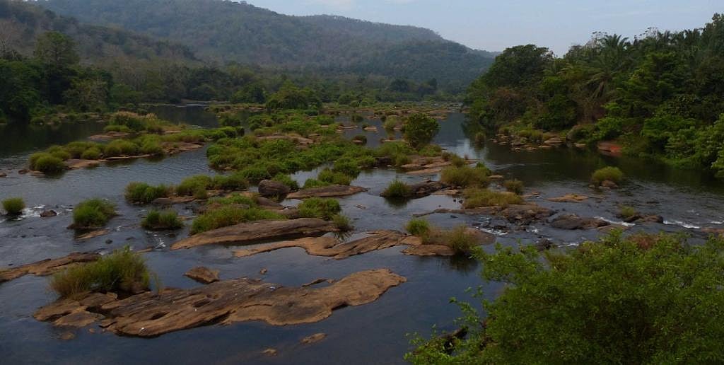 Kerala’s Kadars continue fight for assertion of their community forest ...