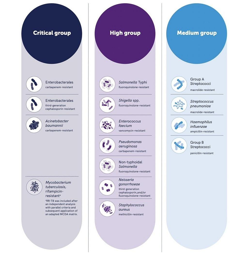 WHO’s new bacterial priority pathogen list emphasises on public health ...