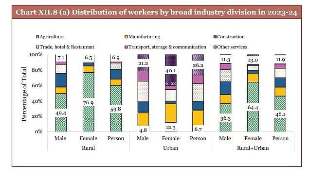 Economic Survey 2025: Rise in Agricultural Jobs, Decline in ...