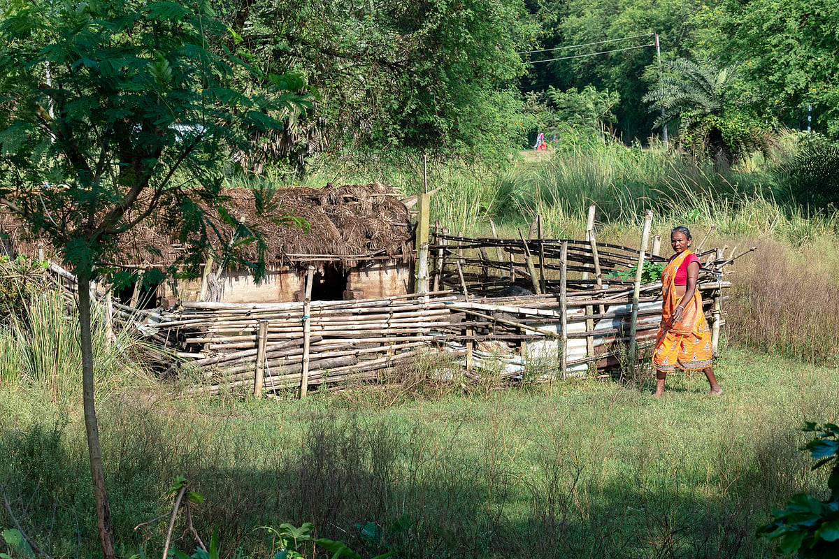 Nearly 48,000 Community Forest Rights Claims Rejected Across India ...