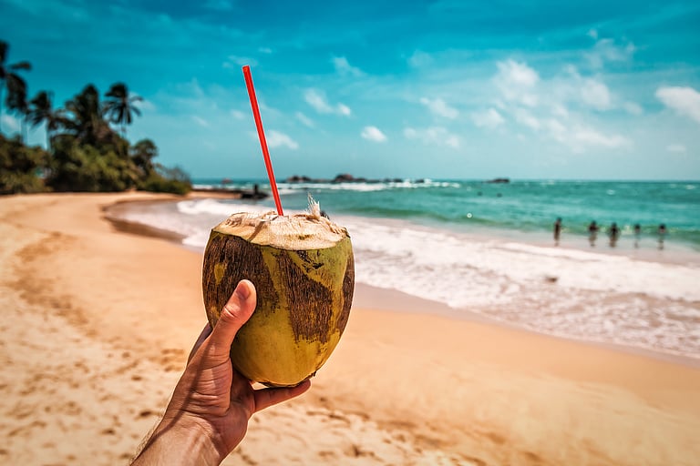 Coconut Water Creation: How Tropical Trees Produce Refreshing Liquid