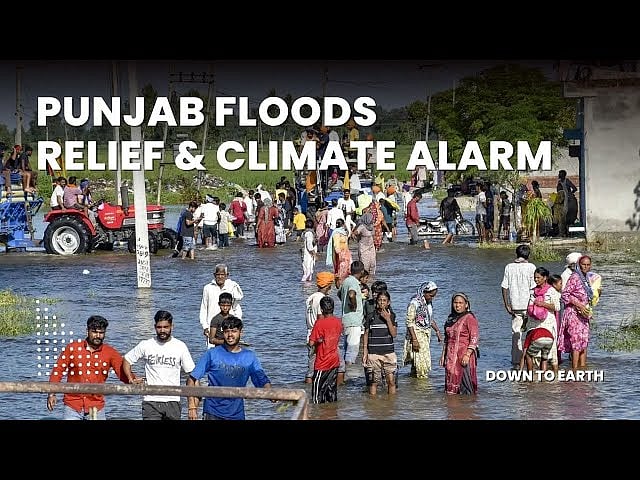 Punjab Floods 2025: Relief Efforts & Climate Change Challenges