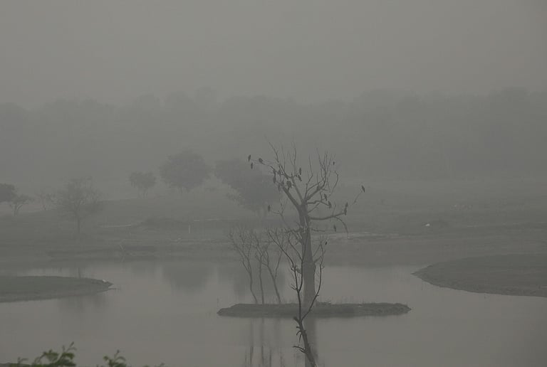 Delhi Air Crisis: GRAP-IV Enforced as AQI Hits Severe+ Levels