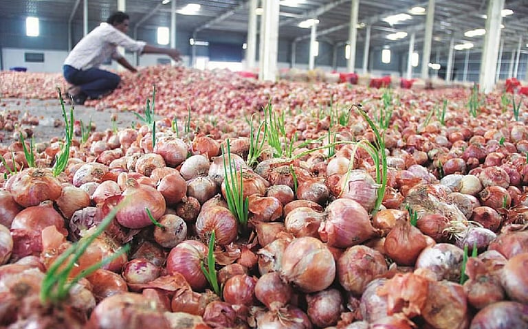 Economic Survey 2026: Domestic Demand Boosts Growth Despite Slight Slowdown