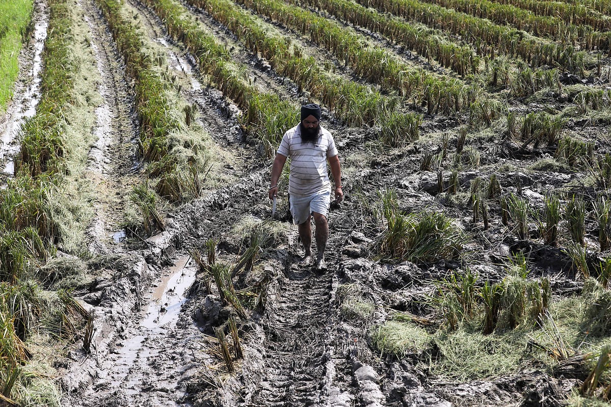 Pre-Monsoon Season Now a High-Risk Period for Indian Crops, Data Shows ...