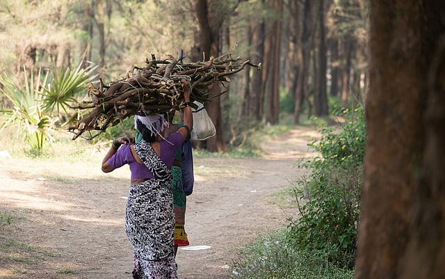 Beyond the Map: The Complex Realities of Life on India’s Forest Fringes