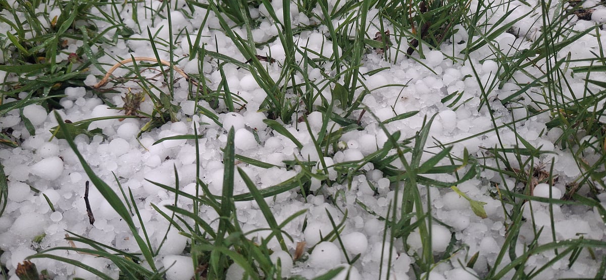Climate Change Batters Kashmir’s Apple Orchards with Intense Hailstorms ...