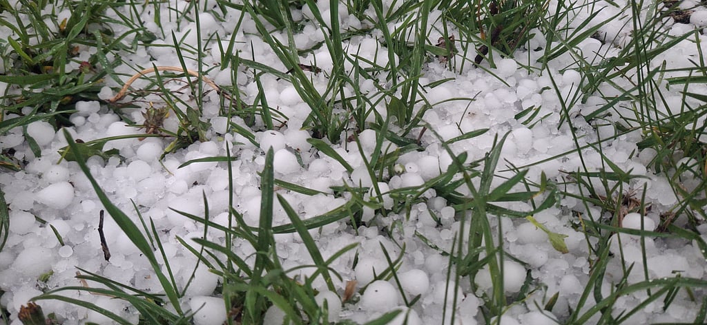 Climate Change Batters Kashmir’s Apple Orchards with Intense Hailstorms ...