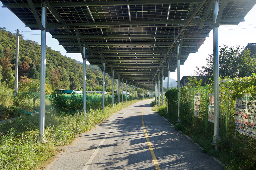 South Africans Want Solar Power but Fear Panel Theft and High Costs ...