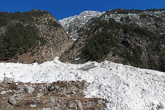 Himalayan Alpine Vegetation Shifts Upslope as Warming and Reduced Snow ...