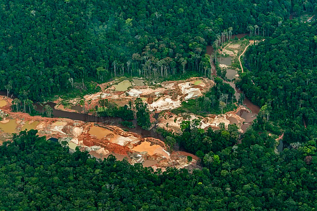 Amazon Rainforest Near Tipping Point as Warming and Deforestation ...
