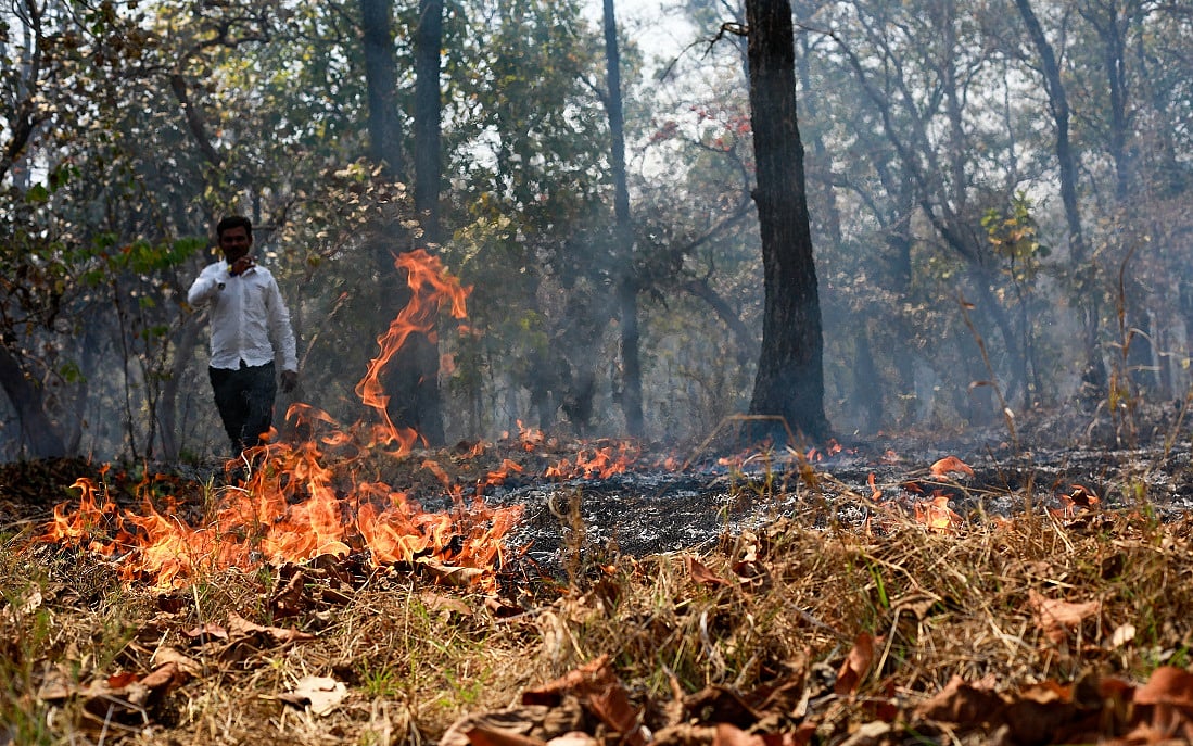 Burning Planet: Record Wildfires in Early 2026 Linked to Climate Change ...