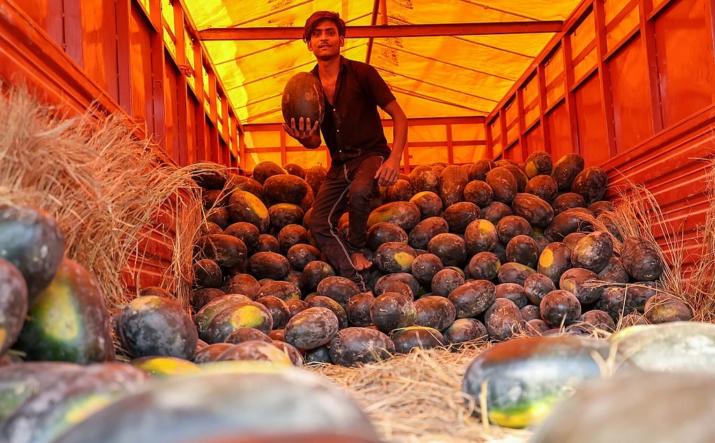 Watermelons Turn Deadly: Mumbai Family’s Death Sparks Food Safety Scare ...