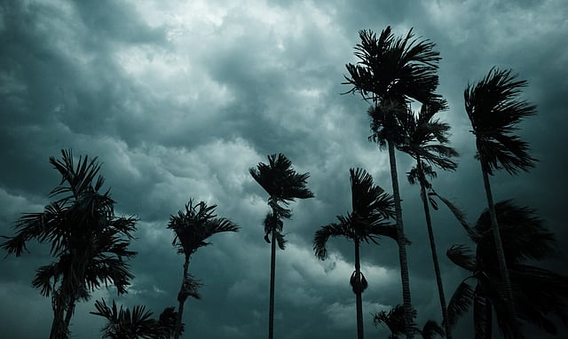 Southwest Monsoon Reaches Andaman and Nicobar, Set to Hit Kerala Early ...
