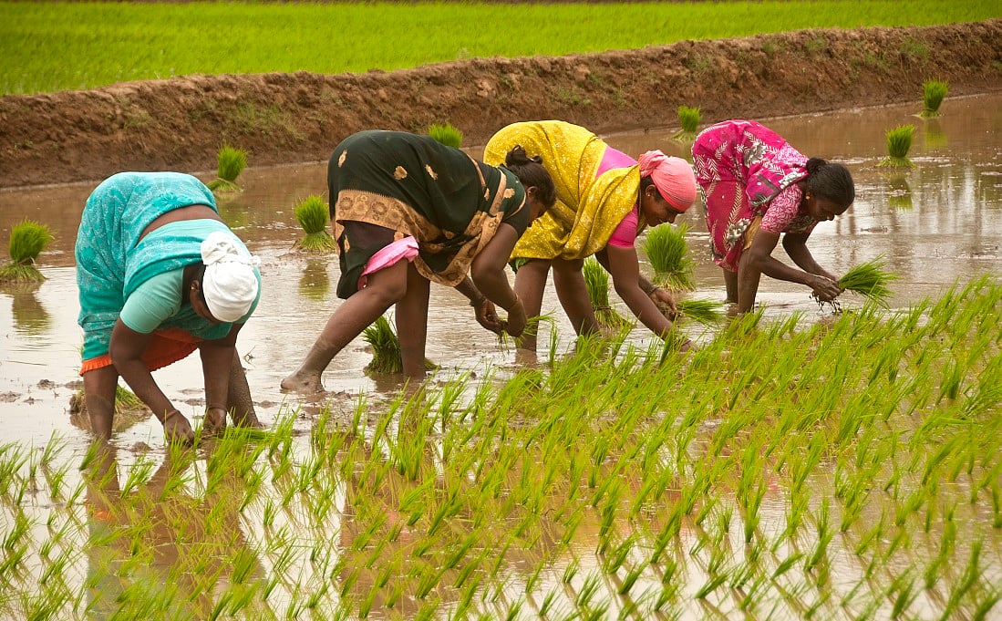 Beyond Compliance: How Human Rights and Environmental Due Diligence ...