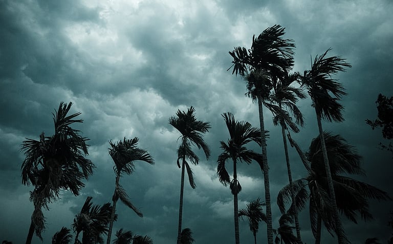 IMD Cuts 2026 Monsoon Forecast to 90% of LPA, Warns 60% Chance of ...