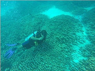 Lakshadweep’s ‘Potato Patch’ Coral May Be One of the World’s Largest ...