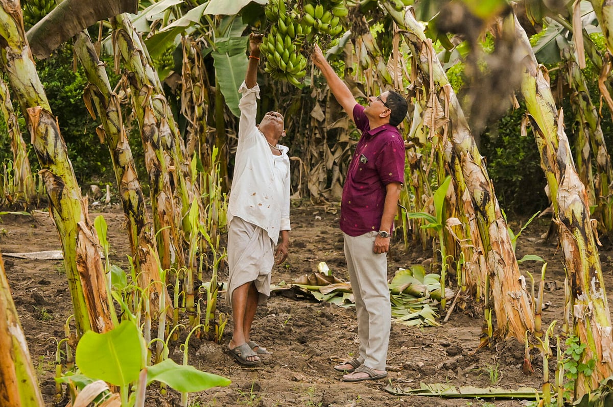 Andhra Pradesh Natural Farming Programme Wins 2026 Food Planet Prize ...