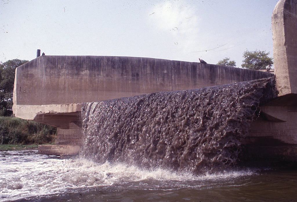 India’s New Fish Survival Test Rule for Caustic Soda Wastewater: CPCB ...